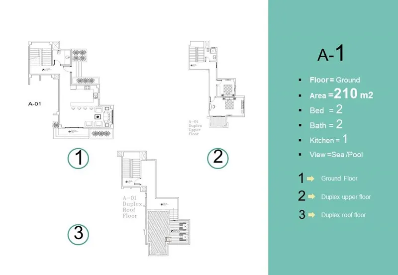 A1- 210 m2 Duplex